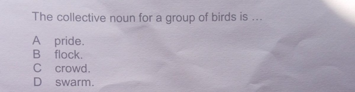 The collective noun for a group of birds is ... A pride. B flock. C crowd..