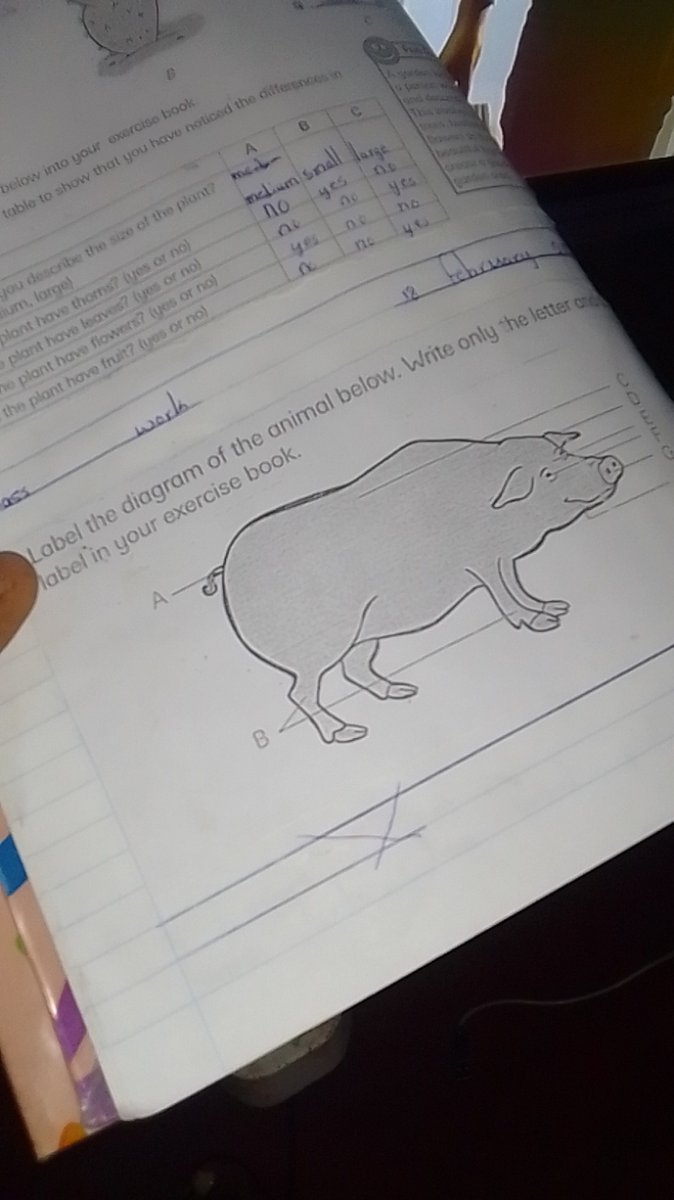 Label the diagram of the animal below. Write only the letter and label in..