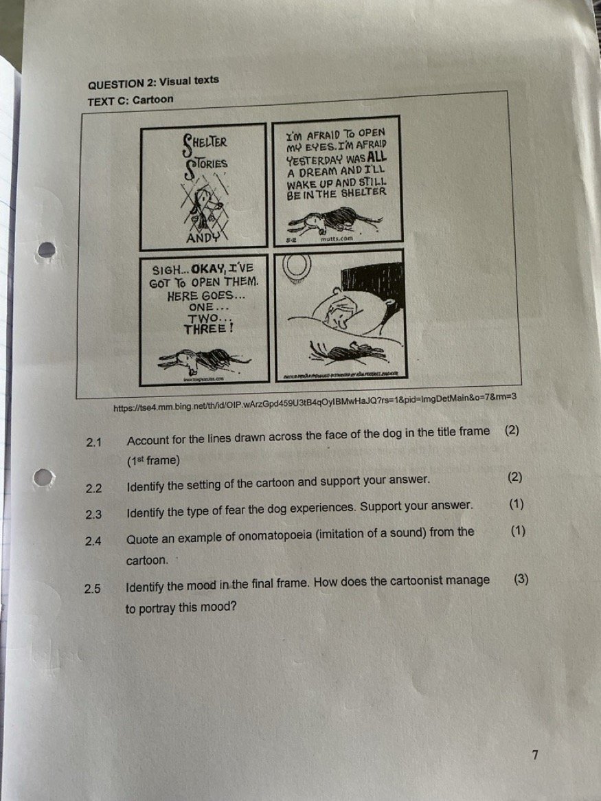 QUESTION 2: Visual texts TEXT C: Cartoon [Image of a four-panel cartoon