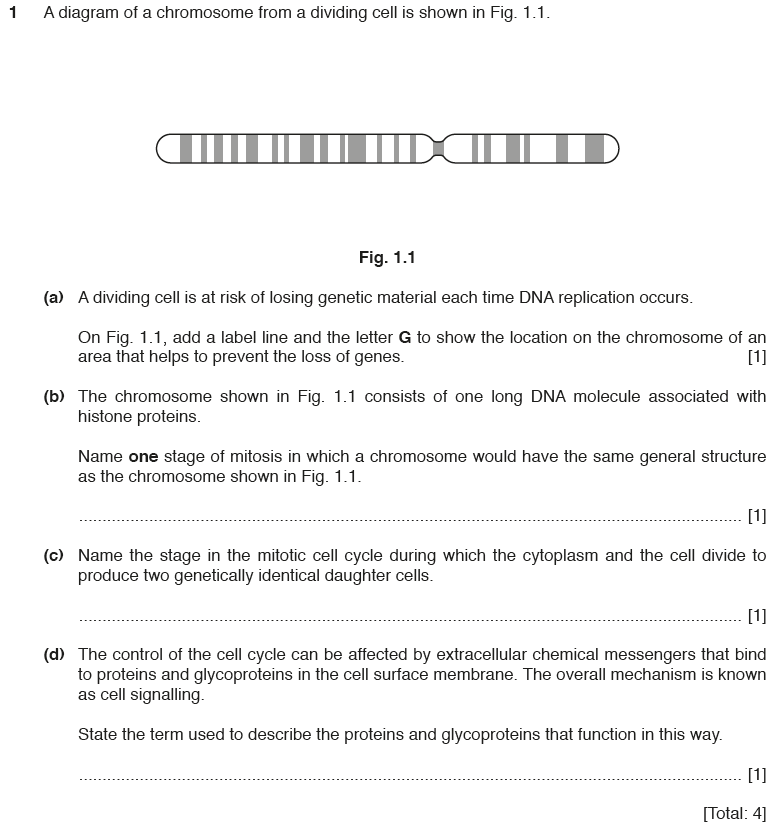 1 A diagram of a chromosome from a dividing cell is shown in Fig. 1.1.