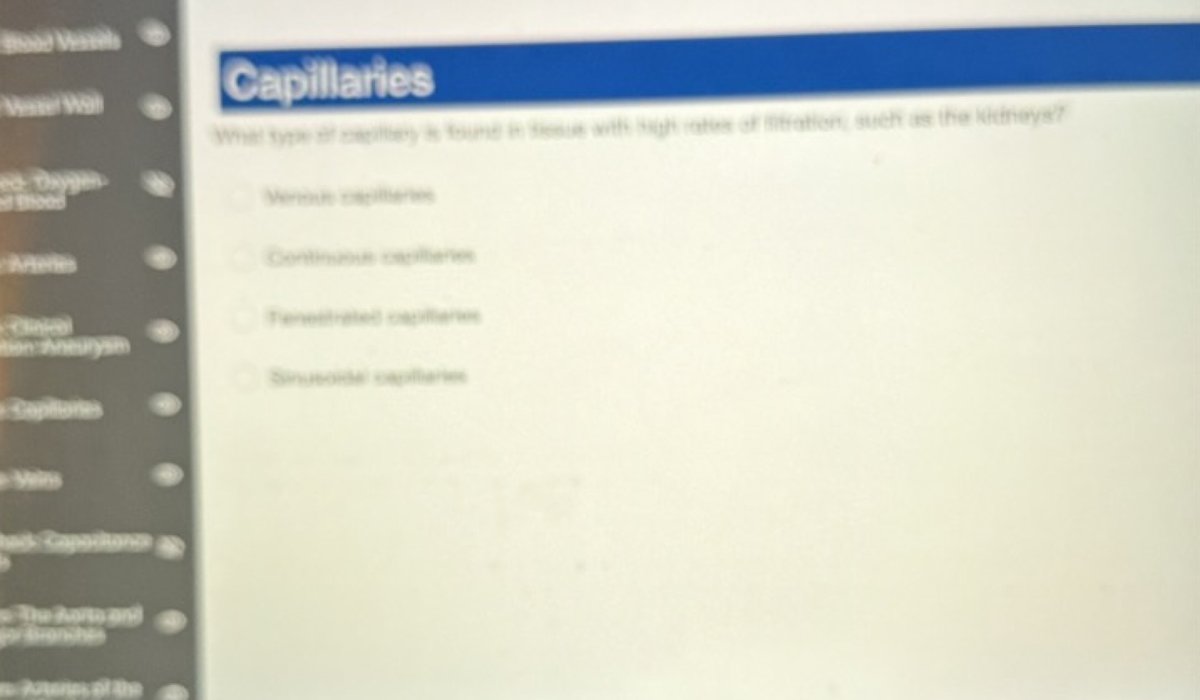 What type of capillary is found in tissue with high rates of filtration,