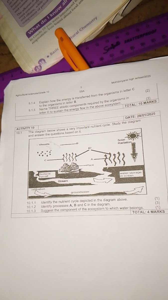 ACTIVITY 10 10.1 The diagram below shows a very important nutrient cycle...
