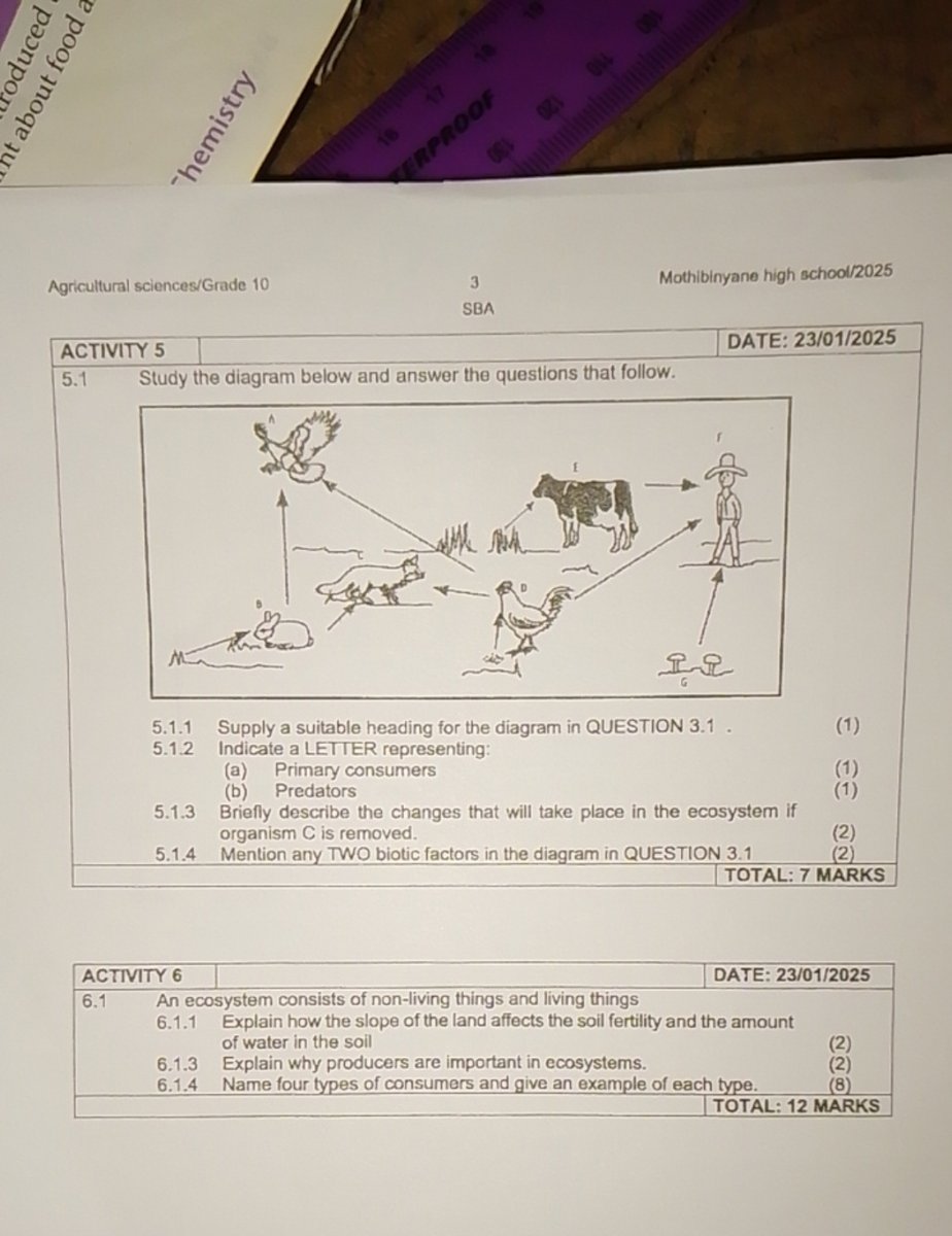 ACTIVITY 5 5.1 Study the diagram below and answer the questions that foll..