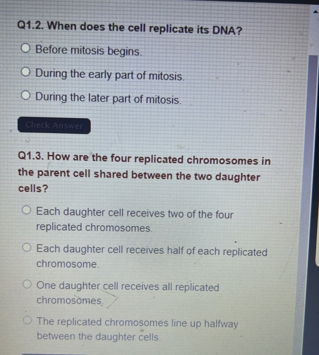 Q1.2. When does the cell replicate its DNA? Before mitosis begins. Durin..