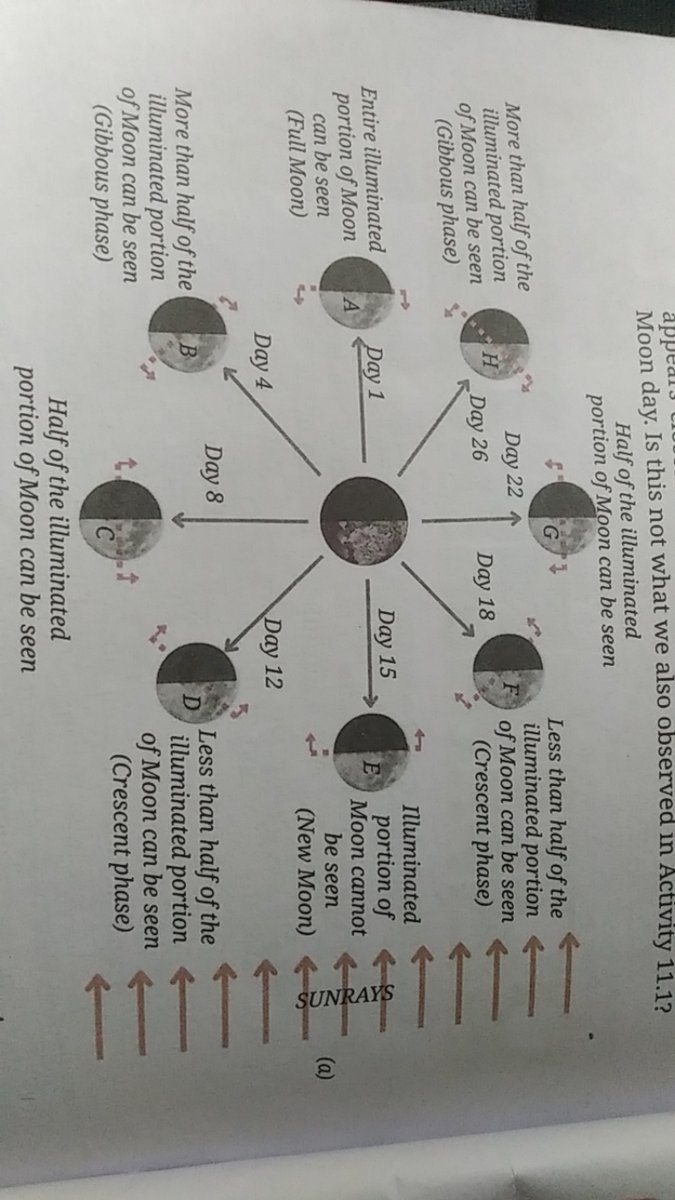 The provided image illustrates the different phases of the Moon over a lu..