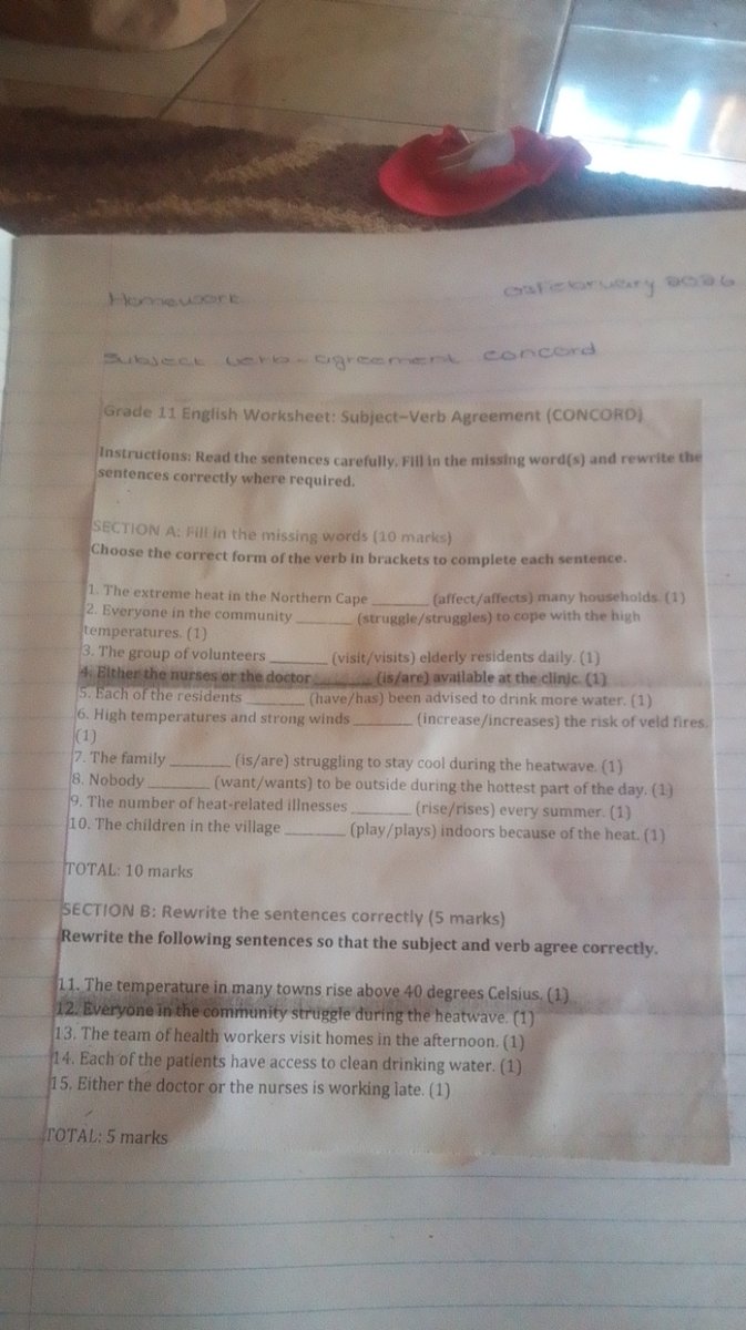 Grade 11 English Worksheet: Subject-Verb Agreement (CONCORD) Instruction..