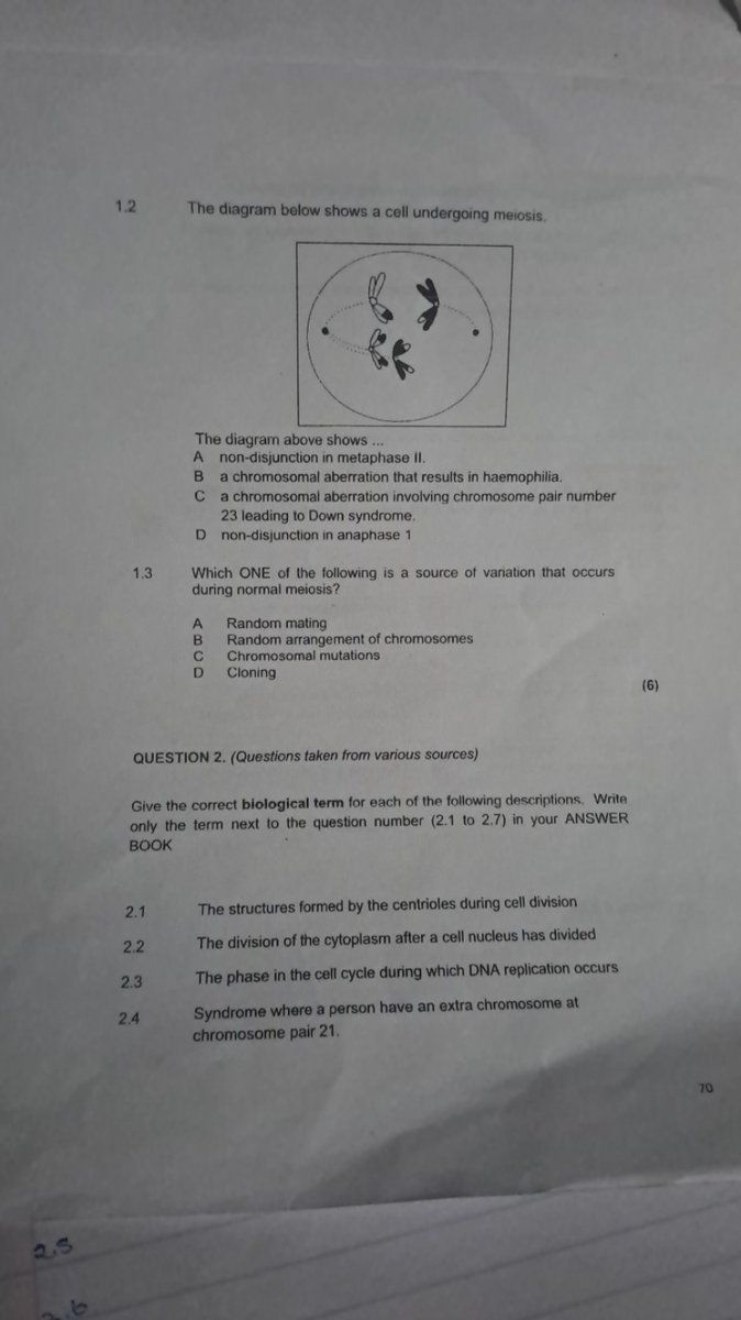 Question 1 1.2 The diagram below shows a cell undergoing meiosis. [Diag..