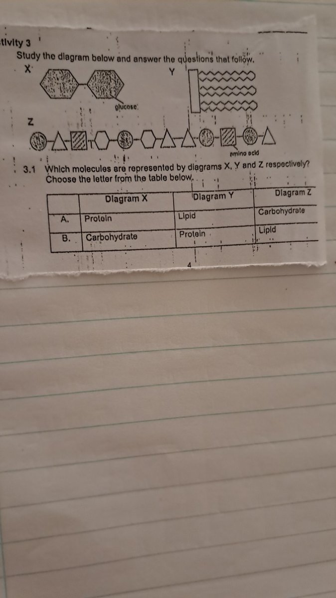 Activity 3 Study the diagram below and answer the questions that follow.