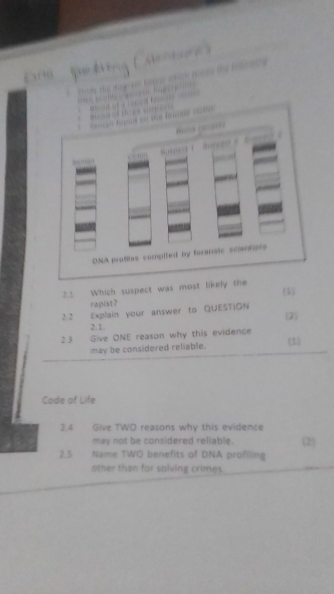 Study the diagram below which shows the following: DNA profiles/genetic f..