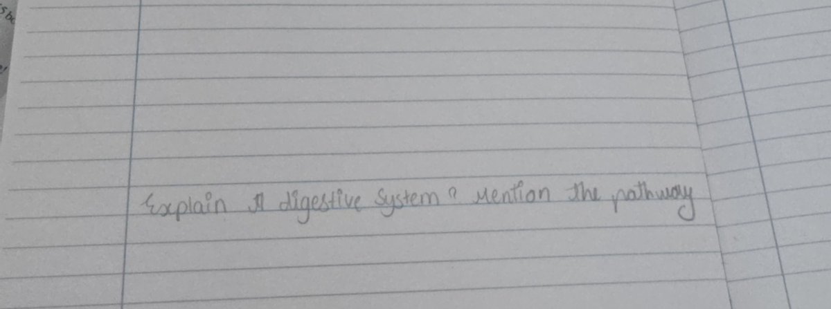Explain a Digestive System? Mention the pathway. | Filo