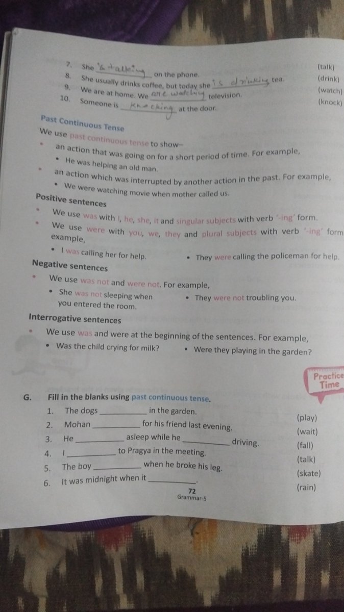 G. Fill in the blanks using past continuous tense. The dogs _ in the gar..