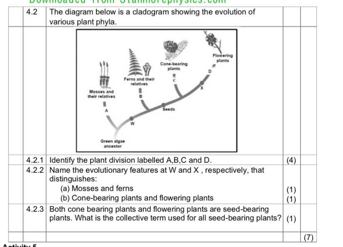 4.2 The diagram below is a cladogram showing the evolution of various pla..