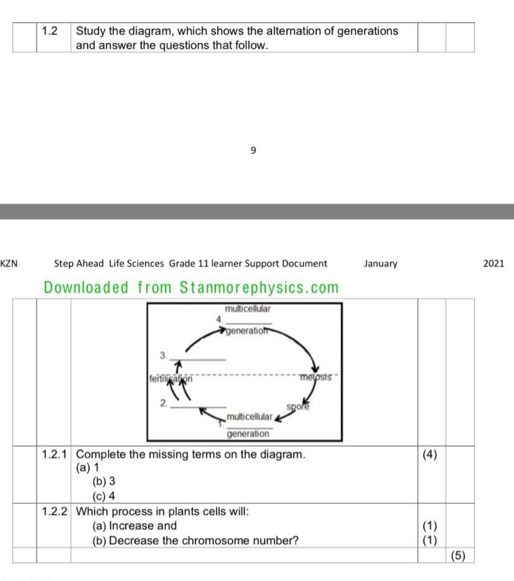 Study the diagram, which shows the alternation of generations and answer