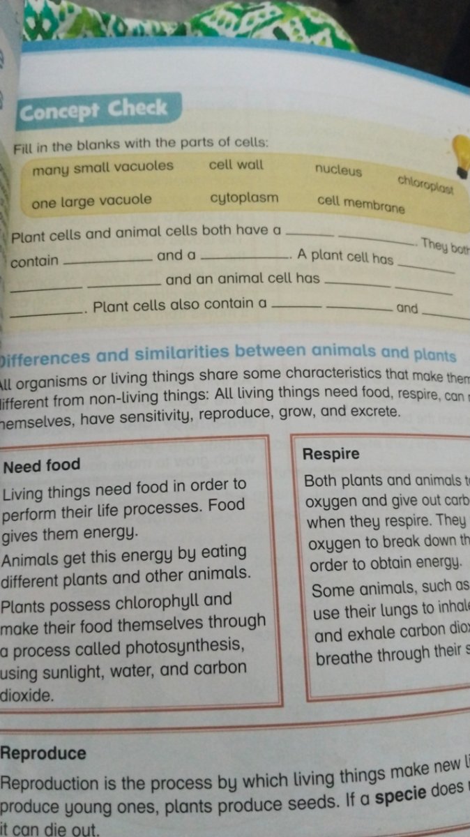 Fill in the blanks with the parts of cells: Parts of cells: many small v..