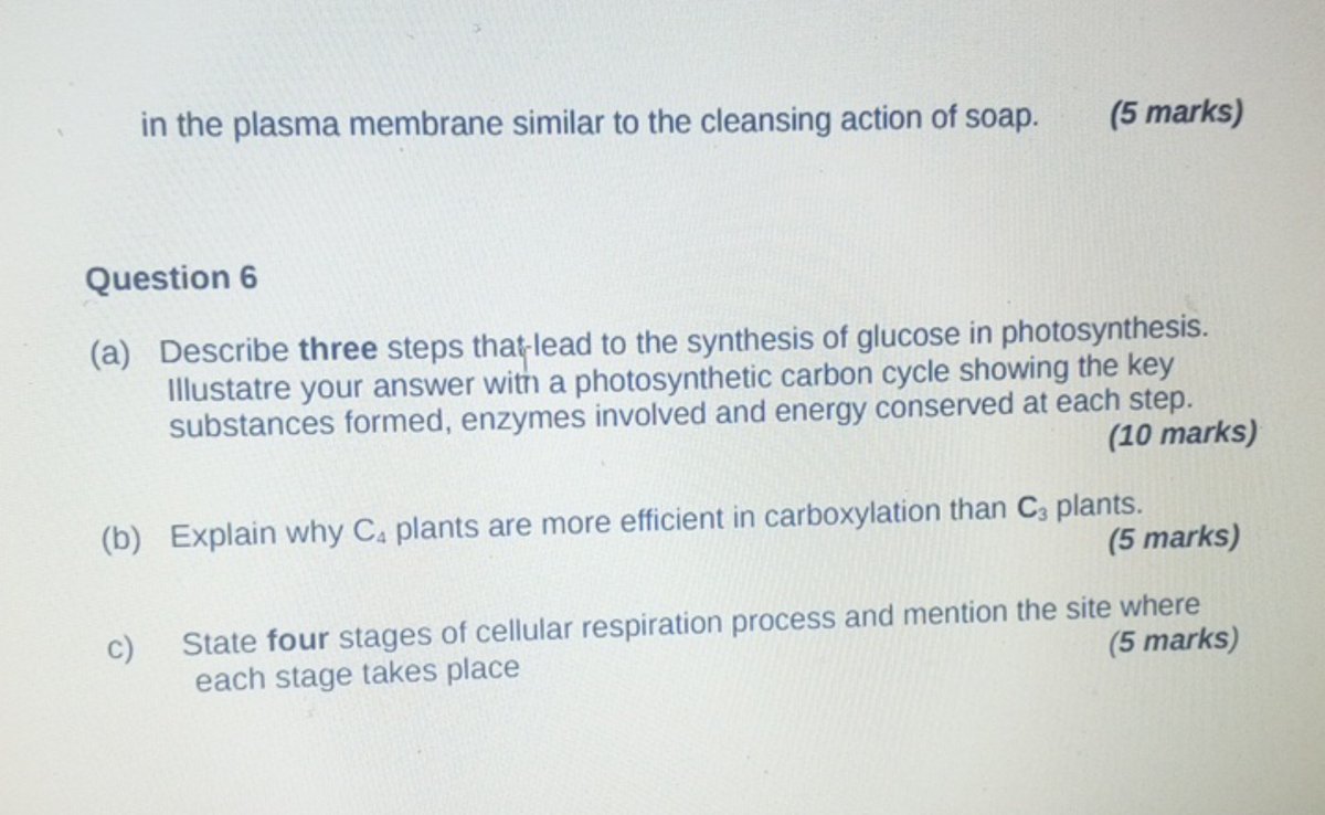 Question 6 (a) Describe three steps that lead to the synthesis of glucos..