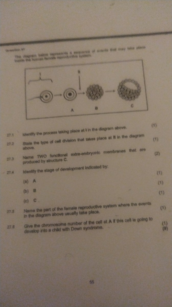 The diagram below represents a sequence of events that may take place ins..