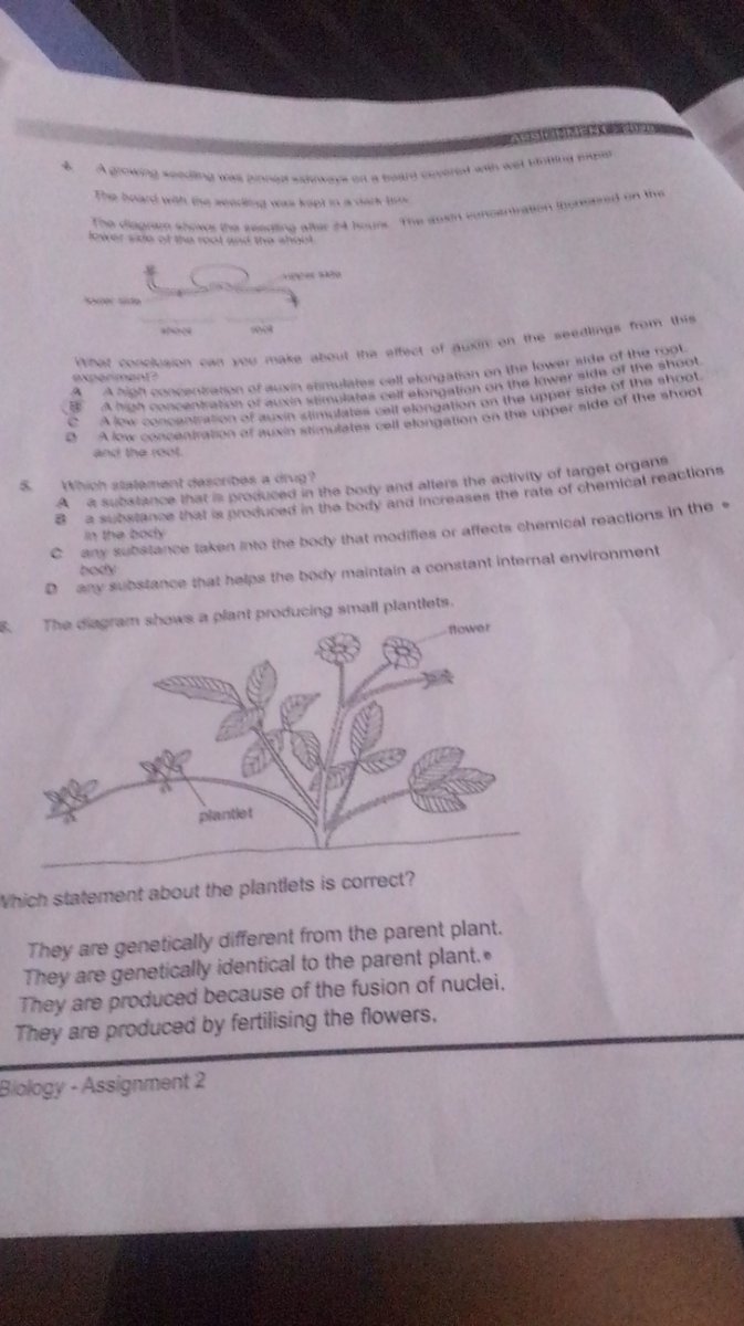 The diagram shows a plant producing small plantlets. [Diagram of a plant..