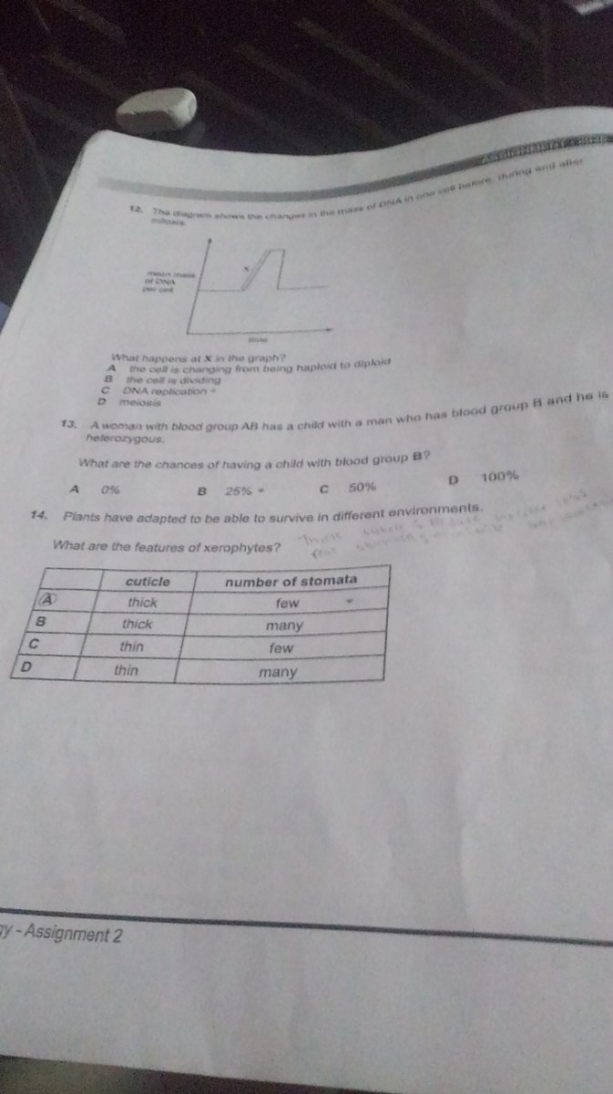 The diagram shows the changes in the mass of DNA in one cell before, duri..