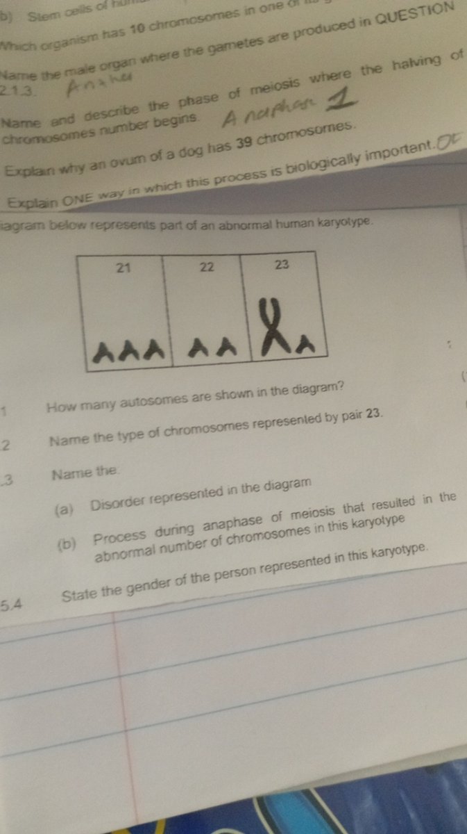 The diagram below represents part of an abnormal human karyotype. [Diagr..