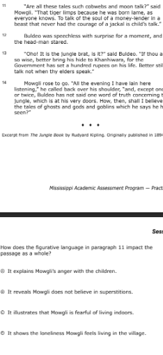 How does the figurative language in paragraph 11 impact the passage as a
