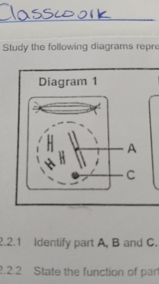 Study the following diagrams: Diagram 1 (Image of a cell diagram with pa..