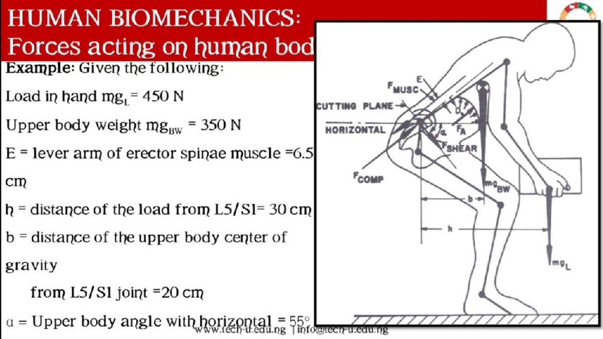 HUMAN BIOMECHANICS: Forces acting on human body Example: Given the follow..