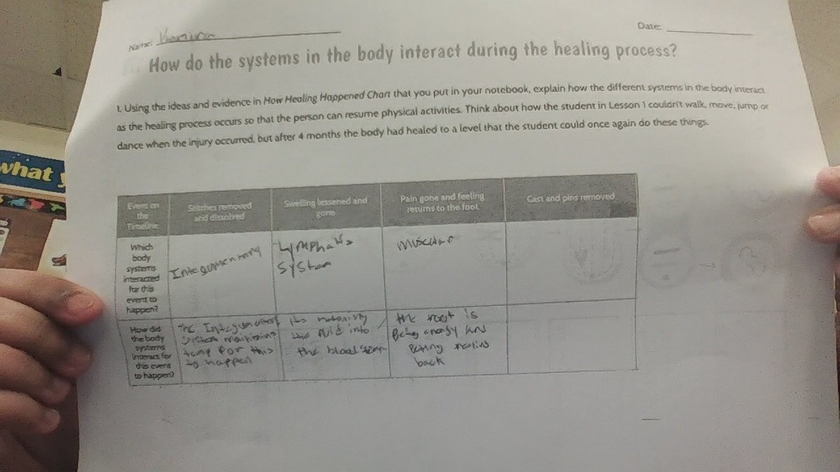How do the systems in the body interact during the healing process? Usin..