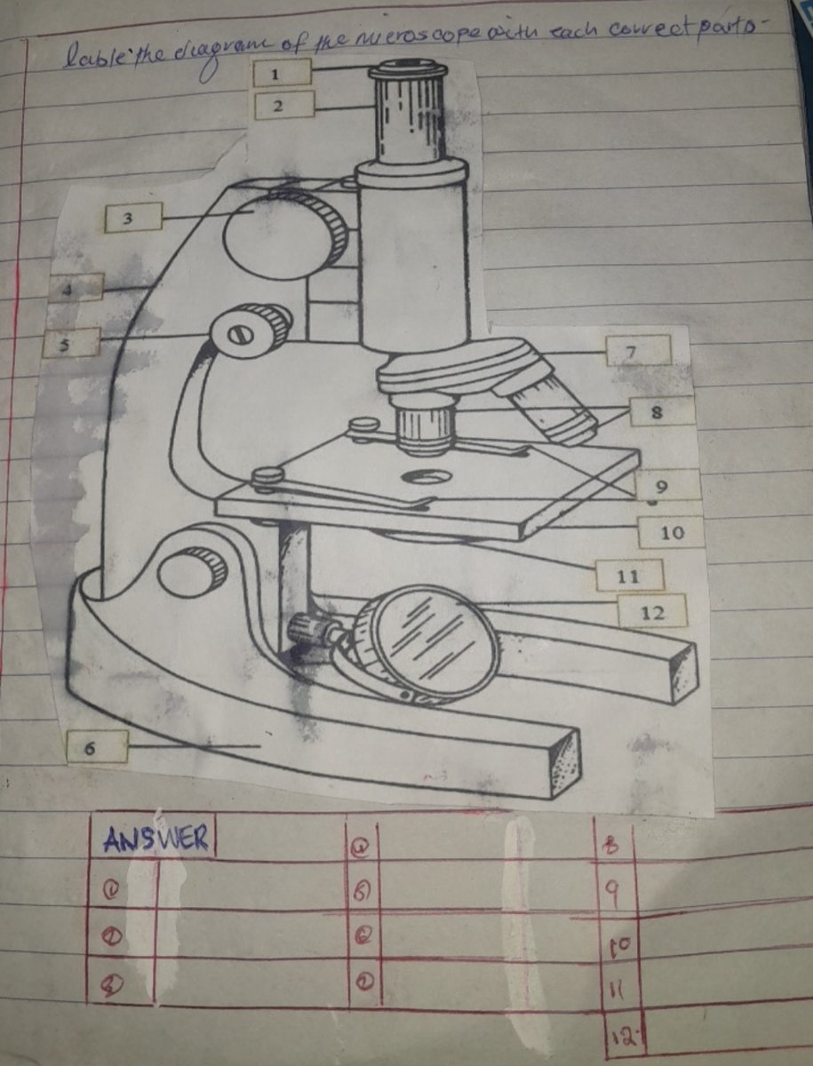 Label the diagram of the microscope with each correct part. | Filo