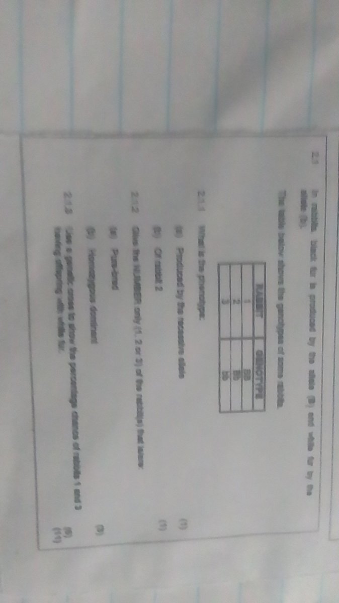 2.1 The table below shows the genotypes of some rabbits. | RABBIT | GENO..