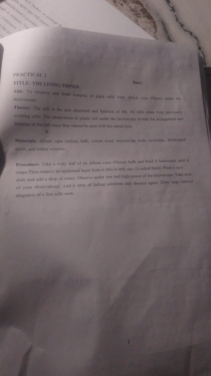 Here is the original image: [Image of a practical worksheet titled "PRAC..