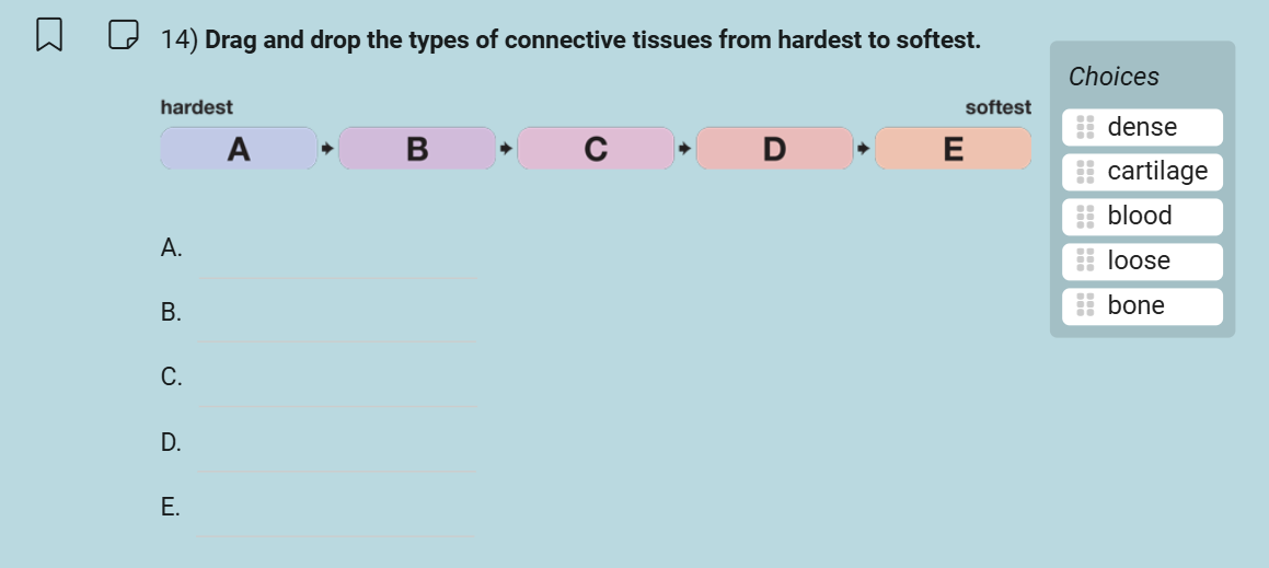 14) Drag and drop the types of connective tissues from hardest to softest..