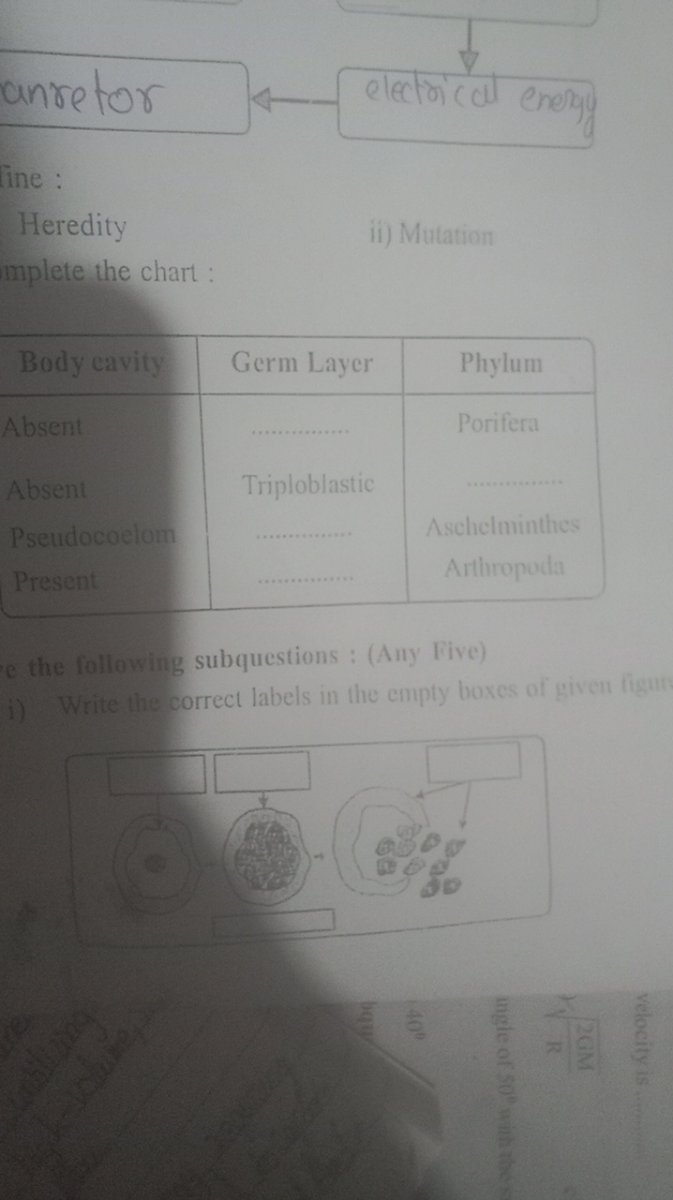 Define: i) Heredity ii) Mutation Complete the chart: | Body cavity