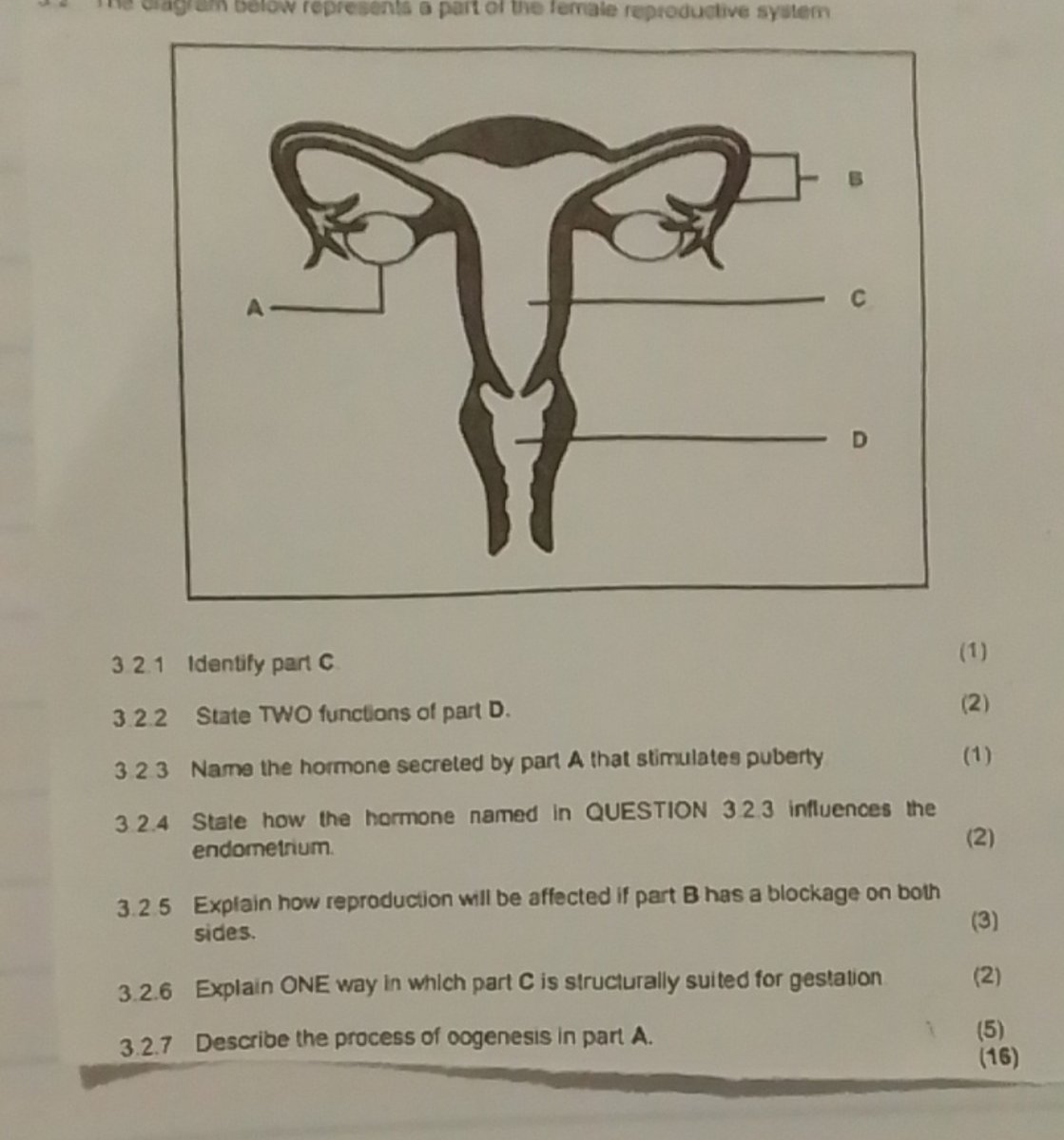 The diagram below represents a part of the female reproductive system. Q..