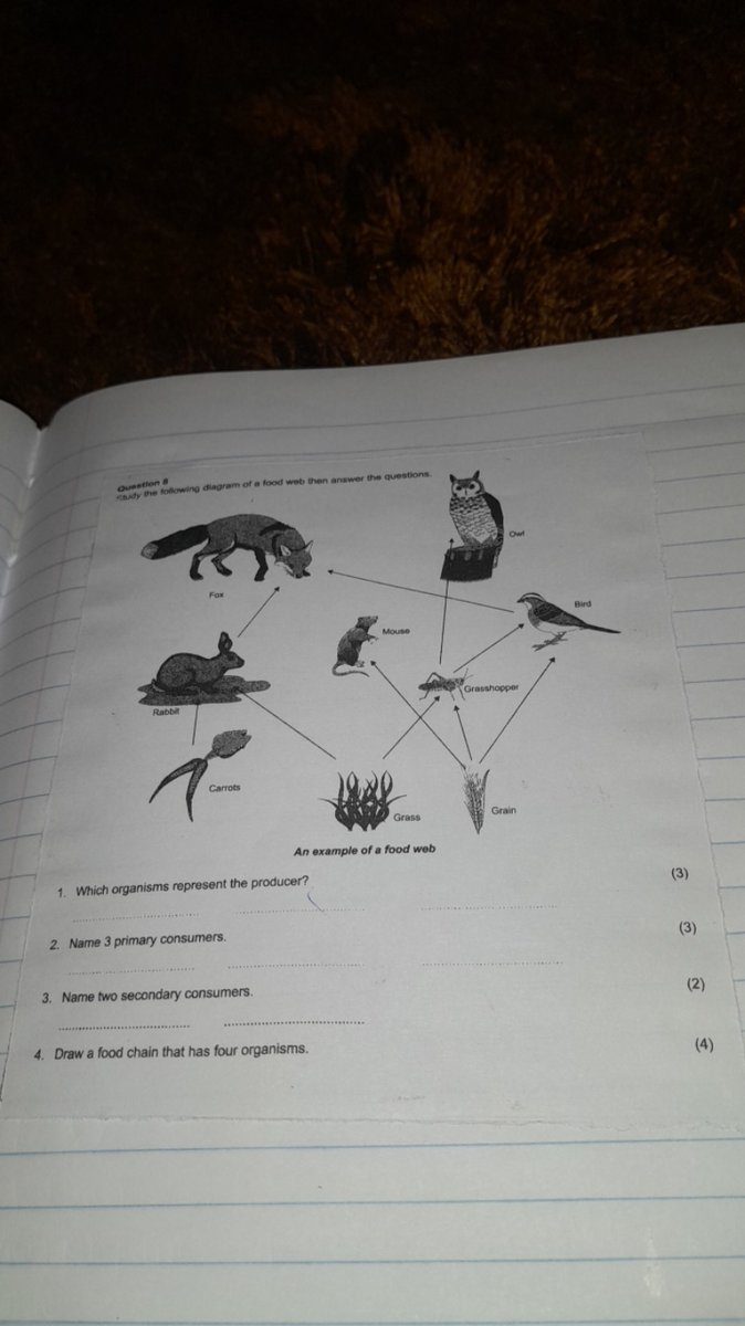 Question 8 Study the following diagram of a food web then answer the ques..