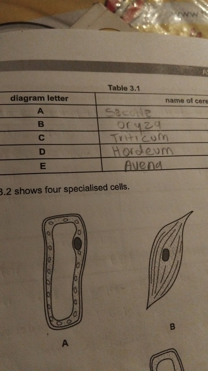 Table 3.1 | diagram letter | name of cere | |---|---| | A | Secolle