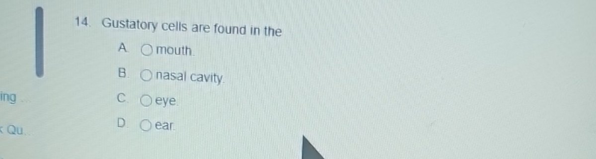 Gustatory cells are found in the A. mouth. B. nasal cavity. C. eye. D. ea..