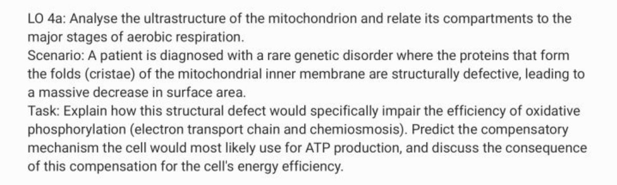 LO 4a: Analyse the ultrastructure of the mitochondrion and relate its com..