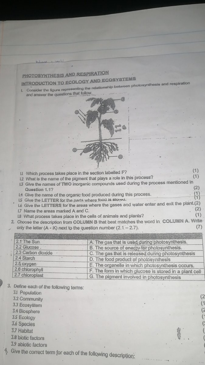 PHOTOSYNTHESIS AND RESPIRATION INTRODUCTION TO ECOLOGY AND ECOSYSTEMS Co..