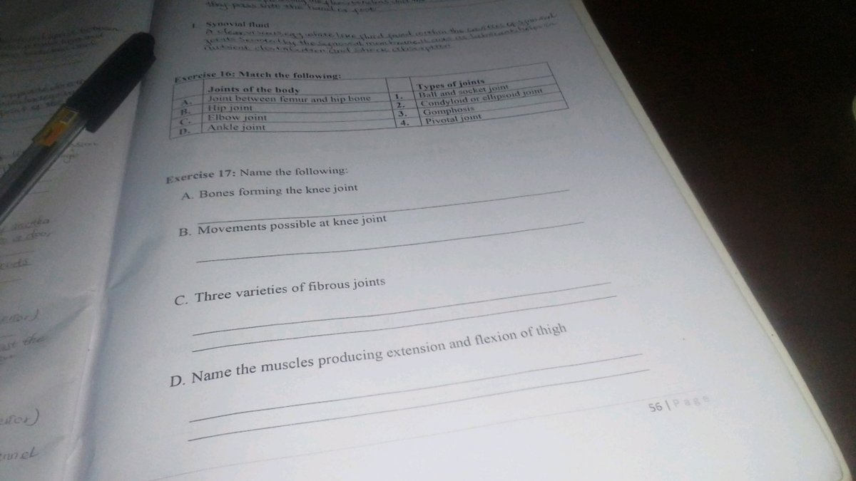 Exercise 16: Match the following: | Joints of the body