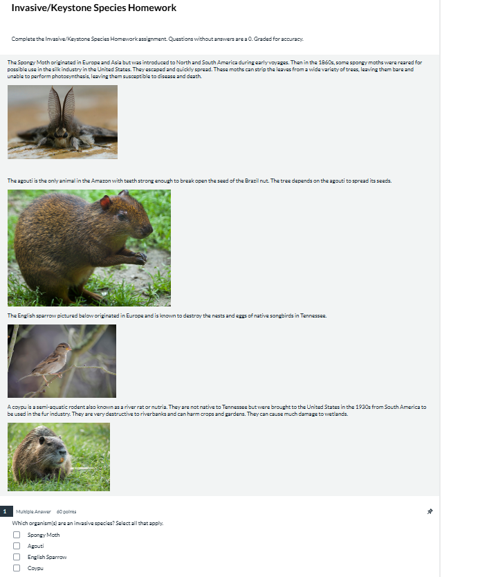 Complete the Invasive/Keystone Species Homework assignment. Questions wit..