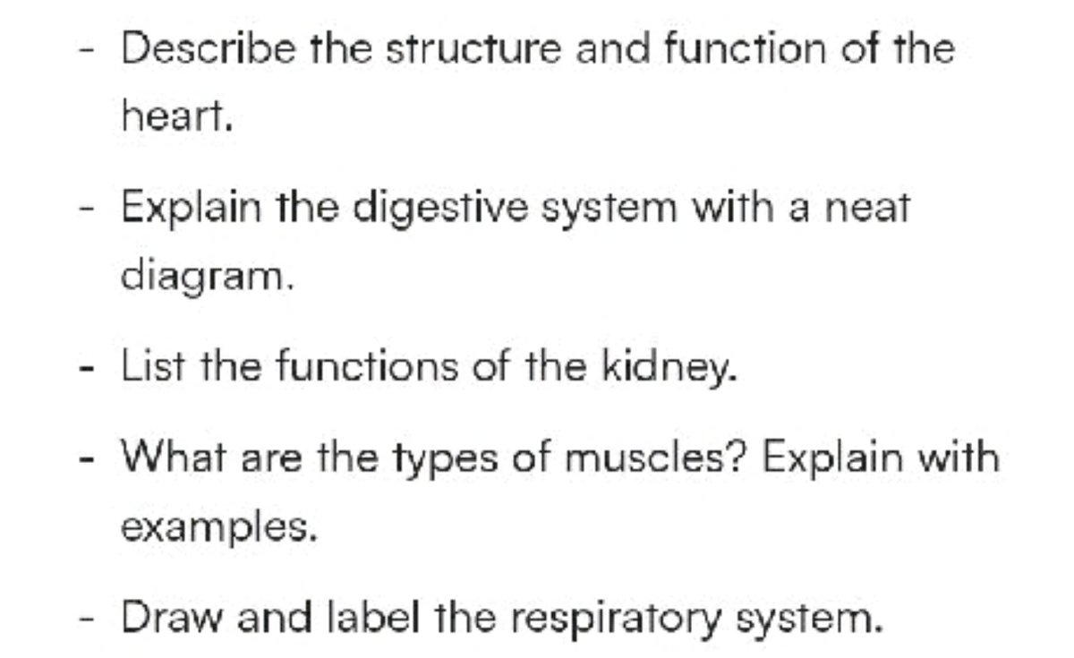 Describe the structure and function of the heart. Explain the digestive s..