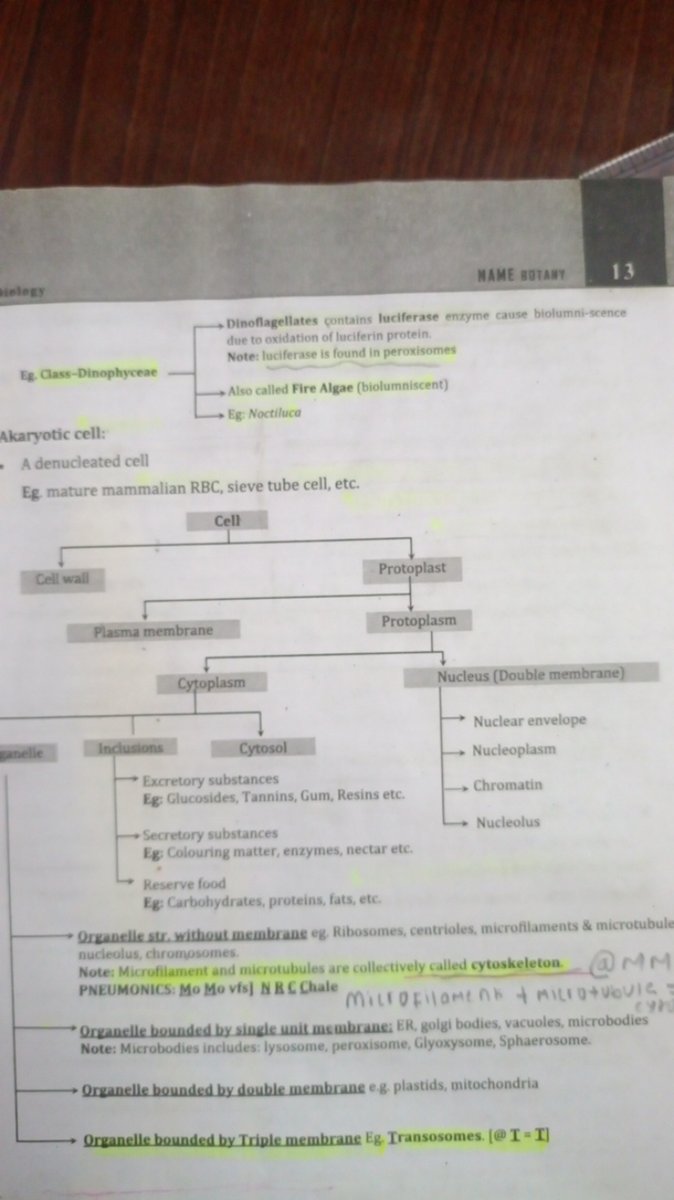 The provided image contains notes and a diagram related to cell structure..