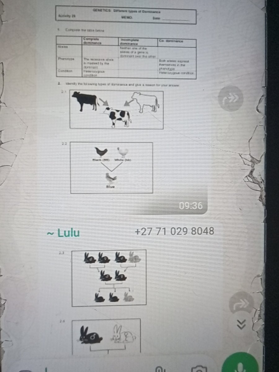 GENETICS: Different types of Dominance Activity 28 MEMO Date Complete the..