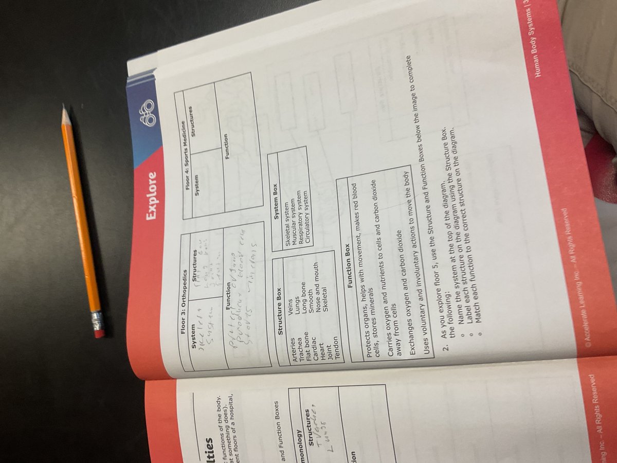 As you explore floor 5, use the Structure and Function Boxes below the im..
