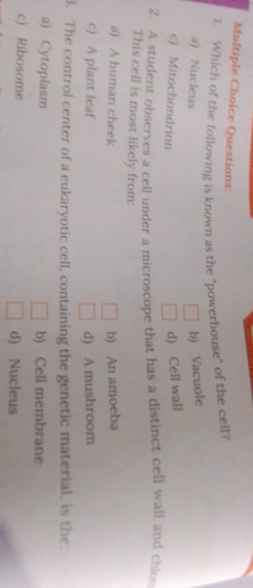 Multiple Choice Questions: Which of the following is known as the "power..