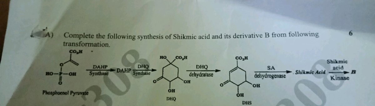 Complete the following synthesis of Shikmic acid and its derivative B fro..