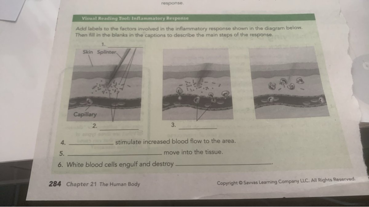 Visual Reading Tool: Inflammatory Response Add labels to the factors inv..