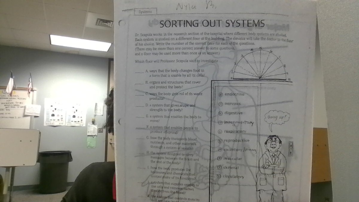 SORTING OUT SYSTEMS Dr. Scapula works in the research section of the hos..
