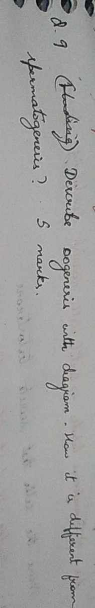 Describe oogenesis with a diagram. How is it different from spermatogenes..
