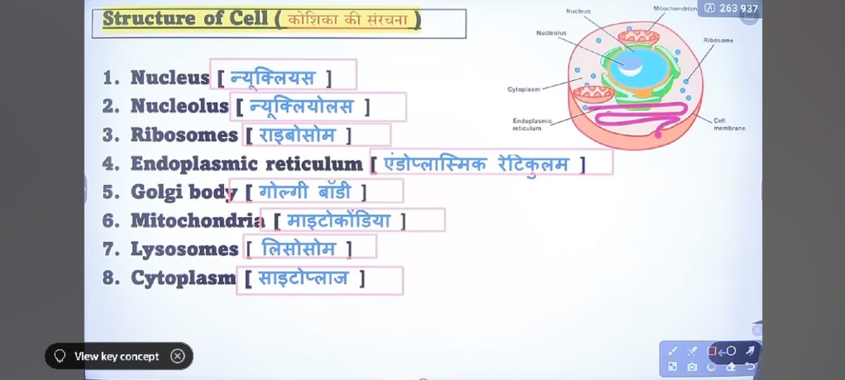 Structure of Cell (कोशिका की संरचना) Nucleus [ न्यूक्लियस ] Nucleolus